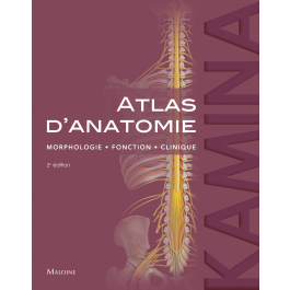 Atlas d'anatomie : Morphologie - Fonction - Clinique, 2e éd. - Editions ...